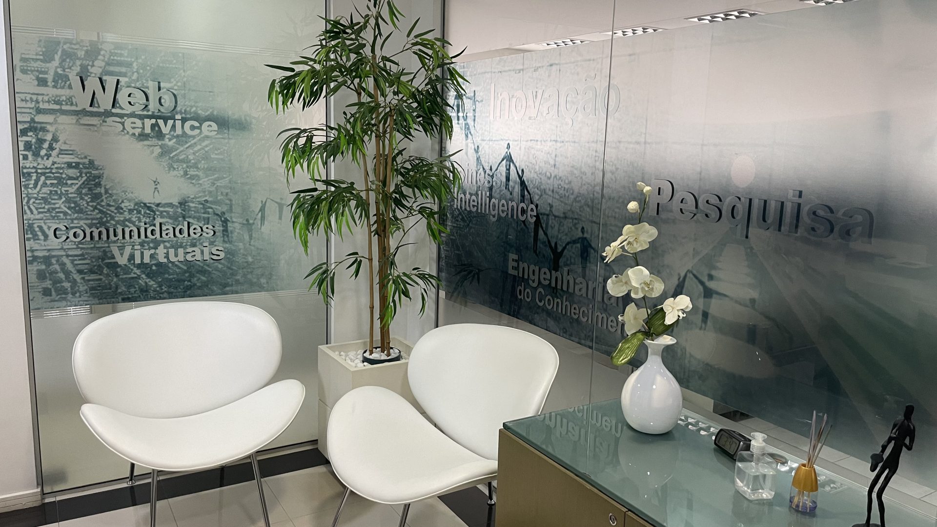 O Stela – Instituto Stela